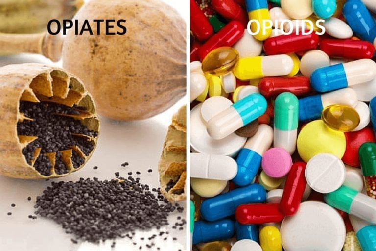 Difference Between Opioid and Opiate: Best Definition You'll Ever Read ...