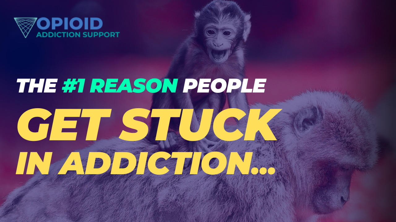 Why is ADDICTION so Hard for Most to Recover from? THIS Invisible Force ...